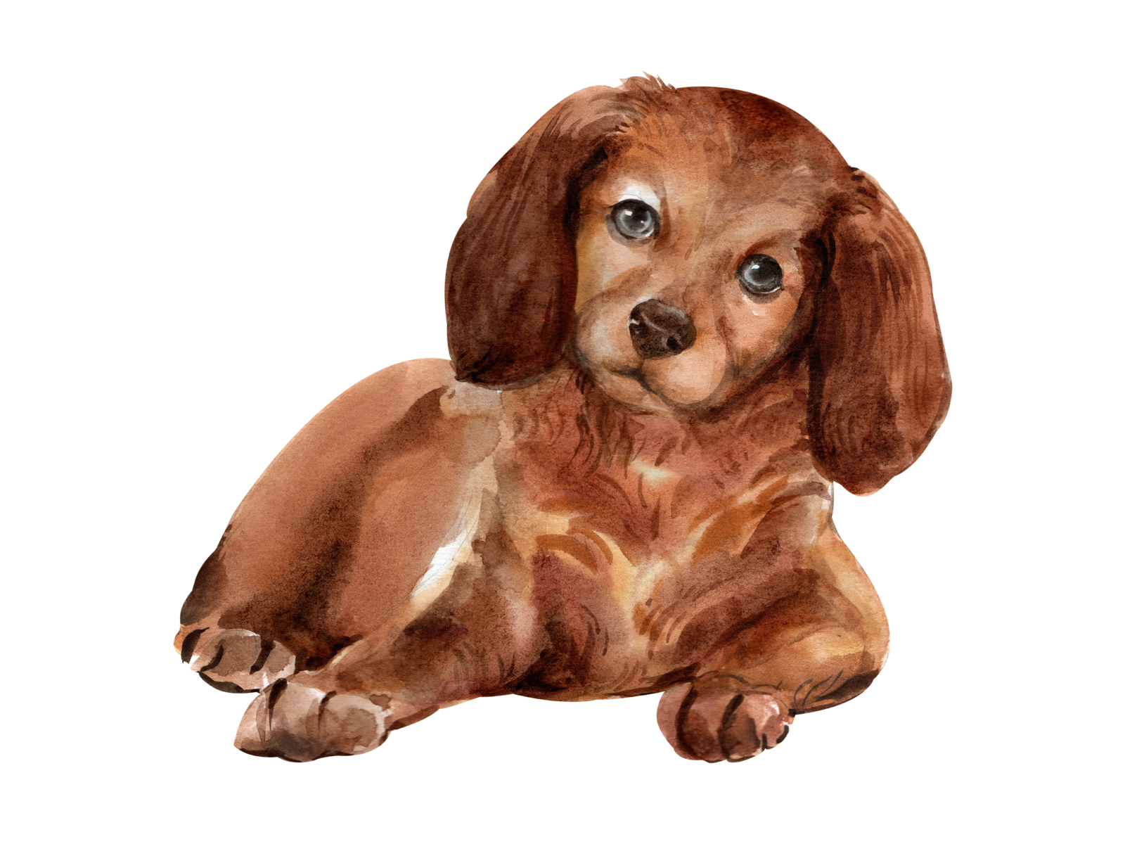 cute dog watercolor by WE Studio on Dribbble