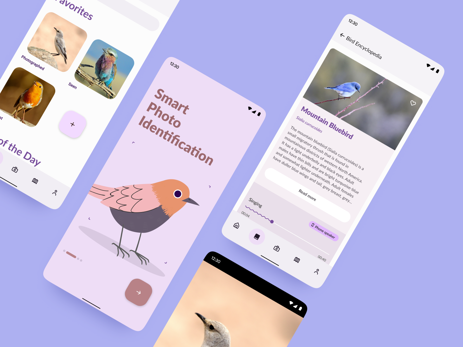 Birdwatching Android App by Paulina Maximenko for EffectiveSoft on Dribbble