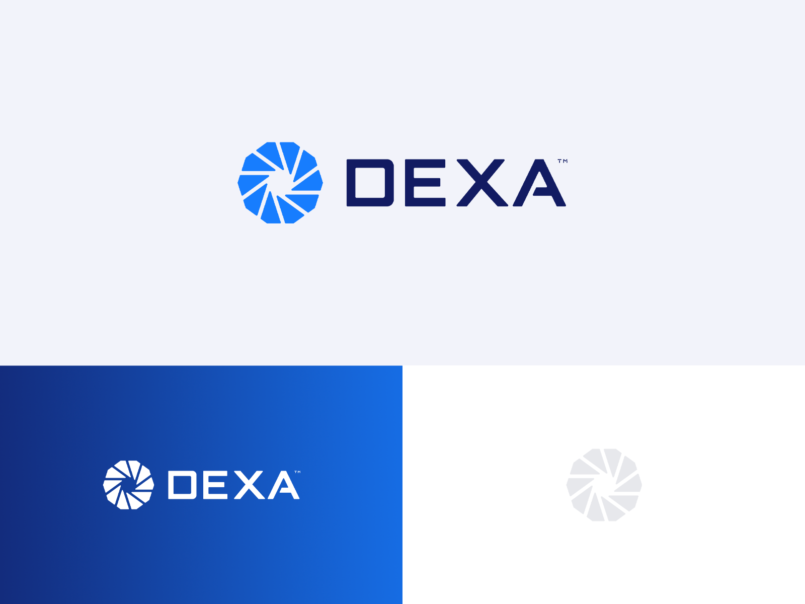 DEXA ERP by Roberto Espirito Santo on Dribbble