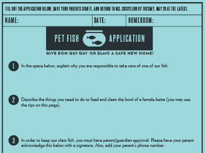 Pet Fish Application by Cristina Vanko on Dribbble