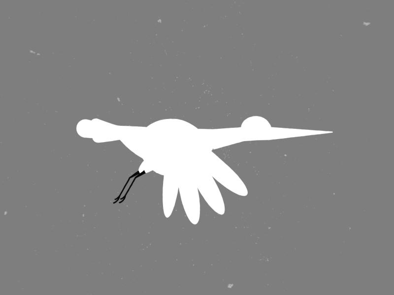 Stork by Emanuele Colombo on Dribbble