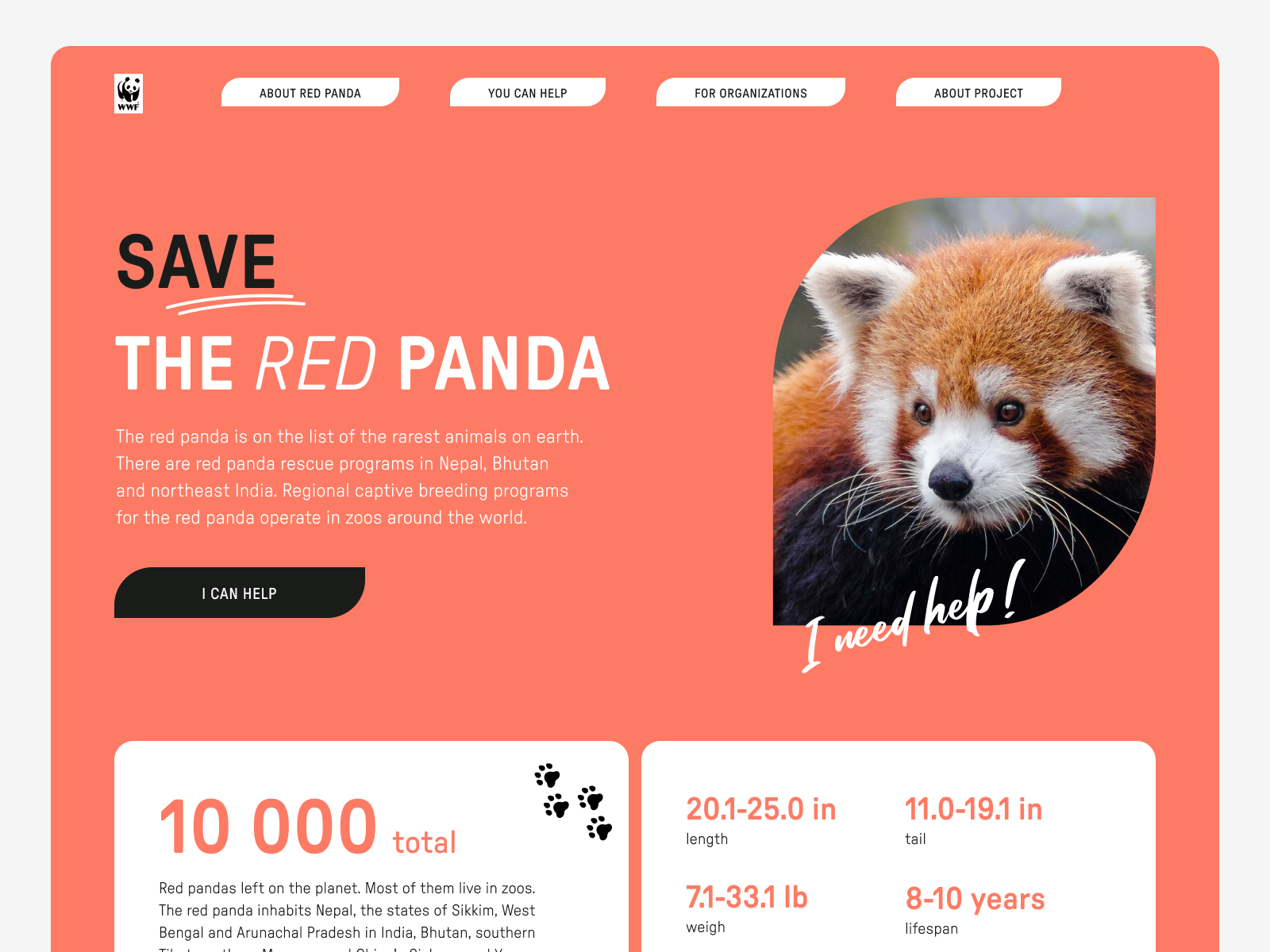 Save red panda by Irina Bushueva on Dribbble