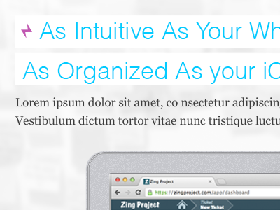 More work on the Zing Project...er...project. by Zach Herring on Dribbble