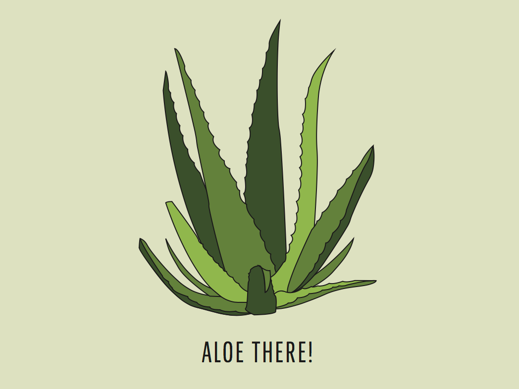 Aloe There by Kristin Svendsen on Dribbble