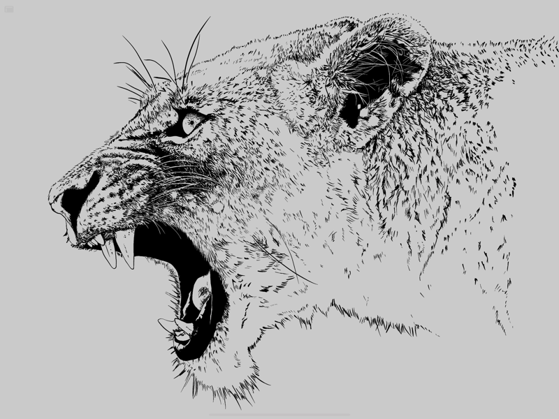 Line art lion by Daniel Toma on Dribbble