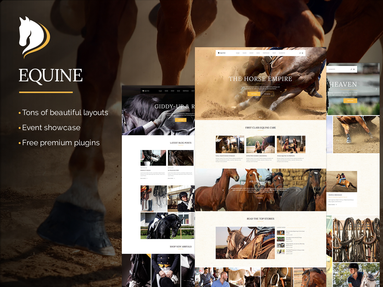 Equine - An Equestrian and Horse Riding Club Theme by Qode Interactive ...