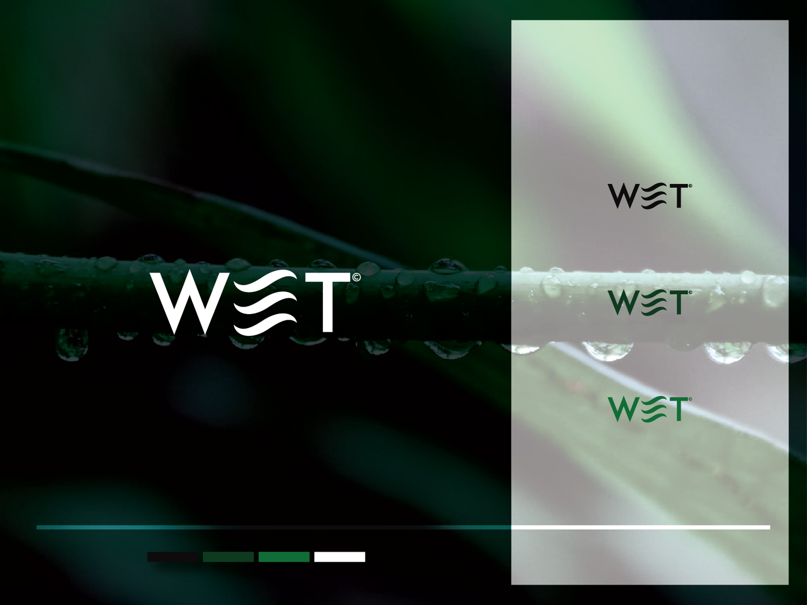 Project Wet Logo