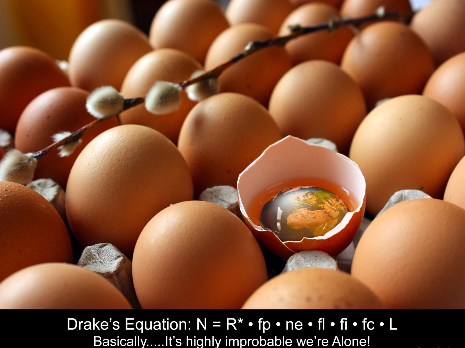 Drakes Equation by Leon Quinn on Dribbble