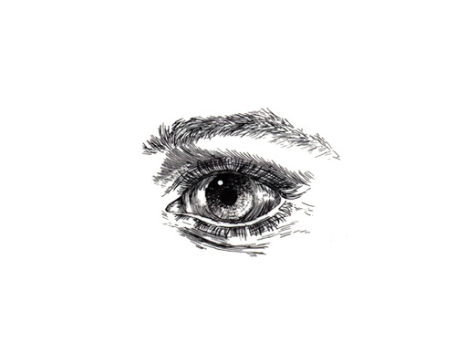 Eye Medical Illustration