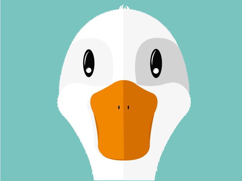 Quack Quack by Sam Morgan on Dribbble