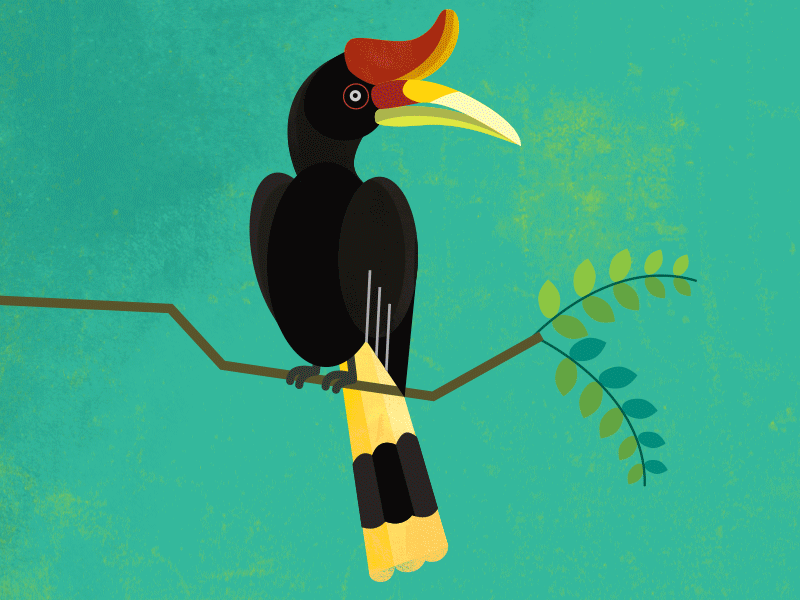 National Aviary by Bluecadet on Dribbble