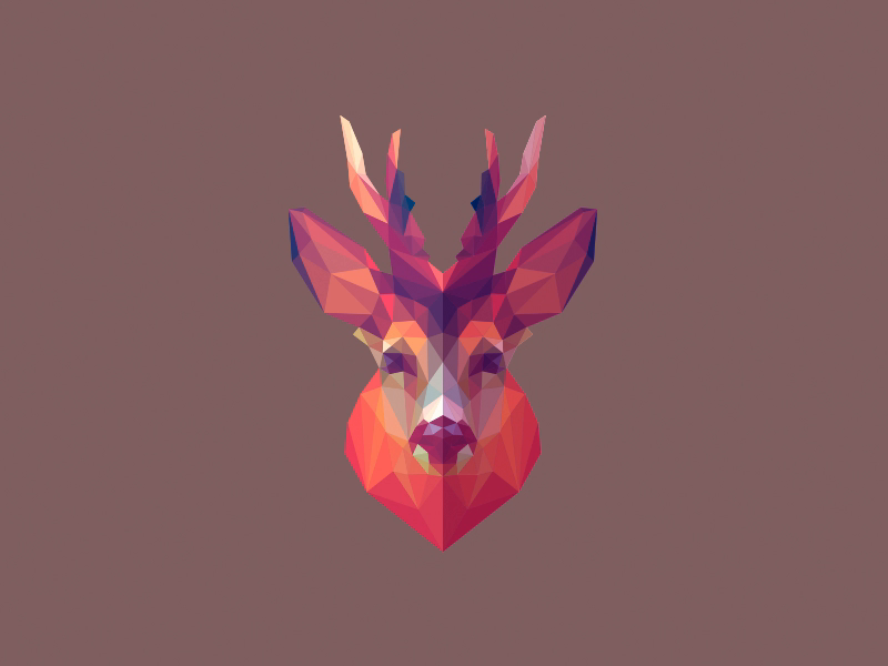 Roebuck by Breno Bitencourt on Dribbble