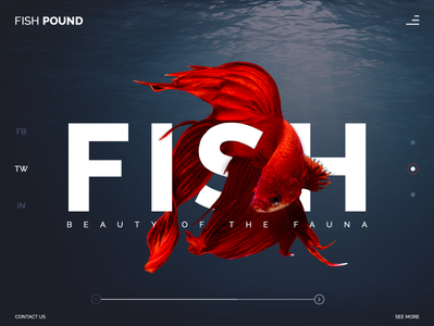 Creative Fish Header by Haris Ali on Dribbble
