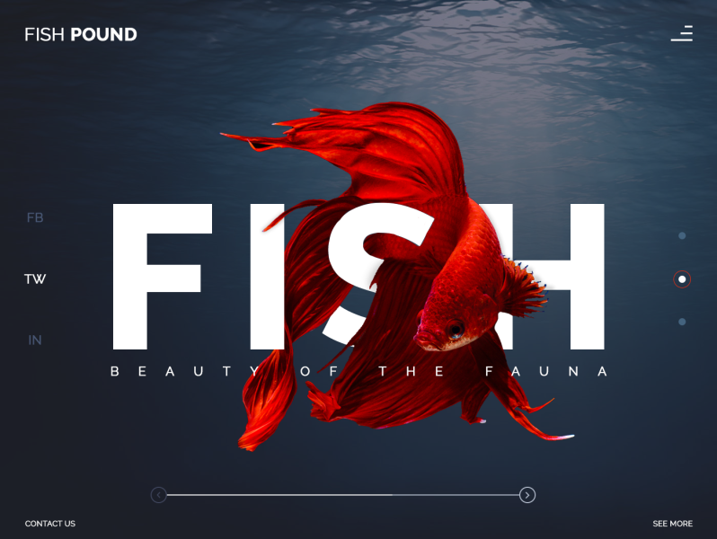 Creative Fish Header by Haris Ali on Dribbble