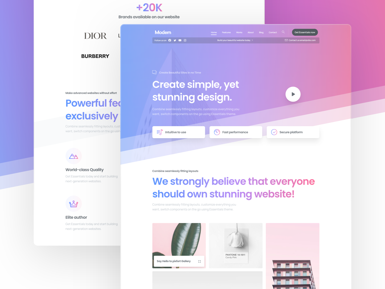 Modern Demo | Essentials Theme by pixfort on Dribbble