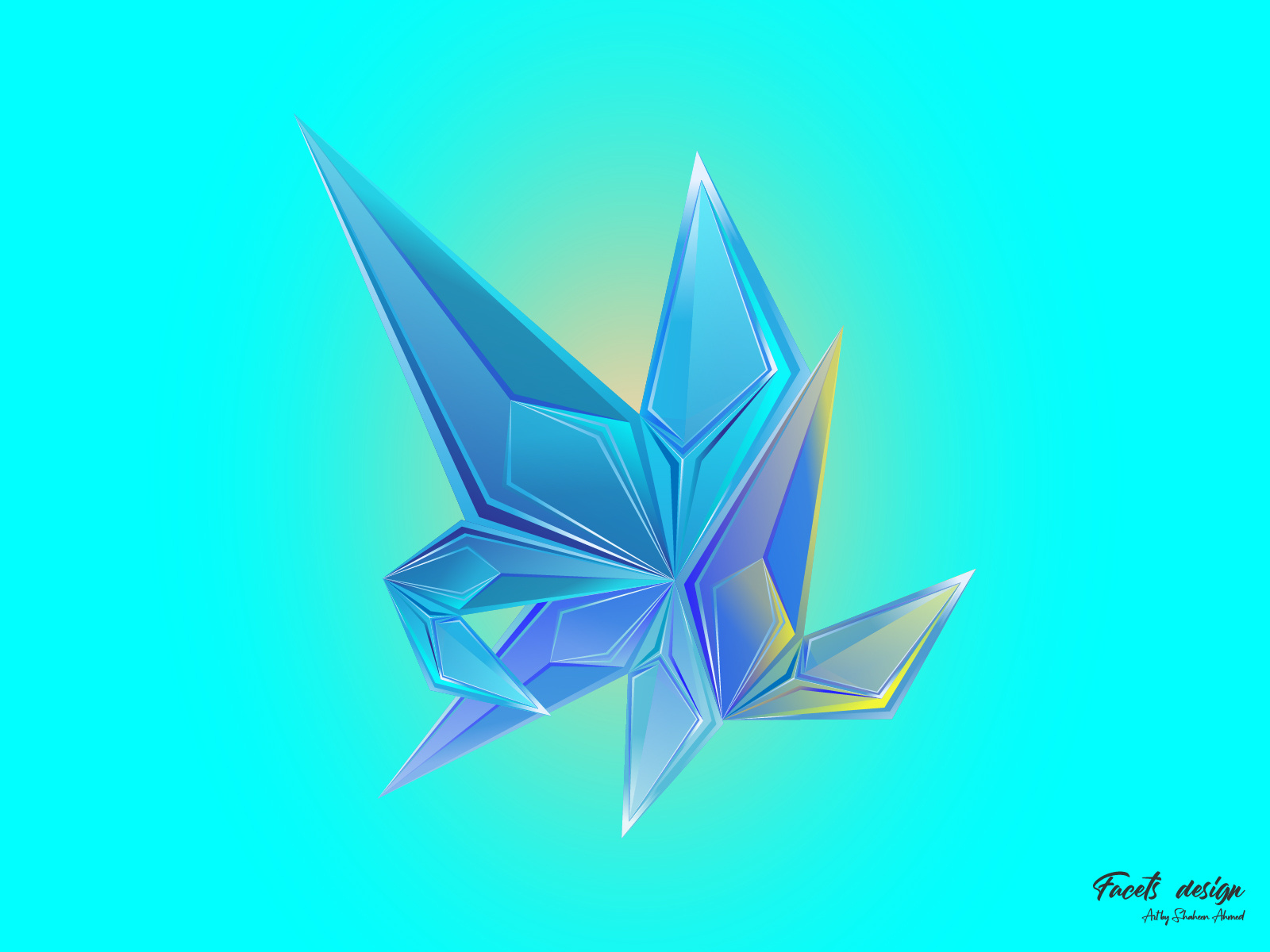 Facets design by Shaheen Ahmed on Dribbble