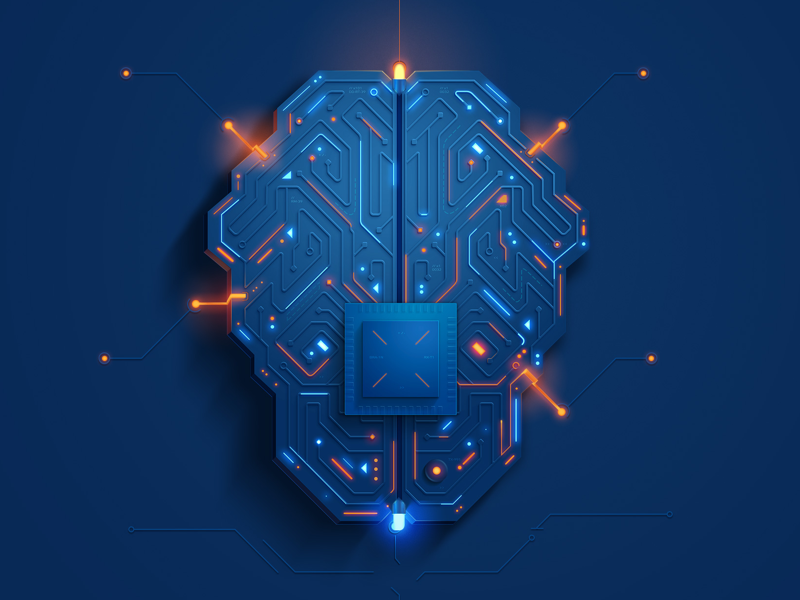 Brain illustration by Kurchenko Oleg on Dribbble