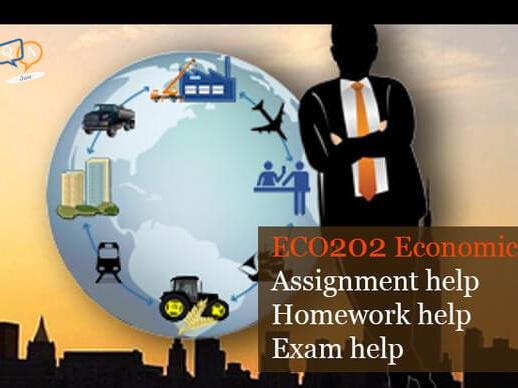 ECO 202 Entire Course Help | Southern New Hampshire University by Leesa ...
