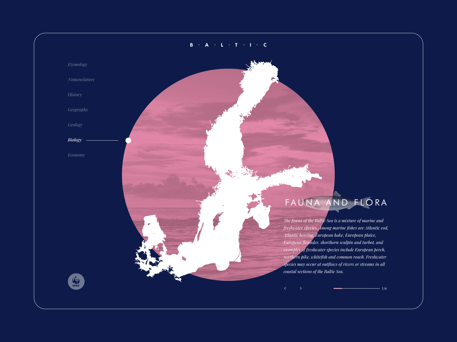 Baltic Sea by Mateusz Bogucki on Dribbble