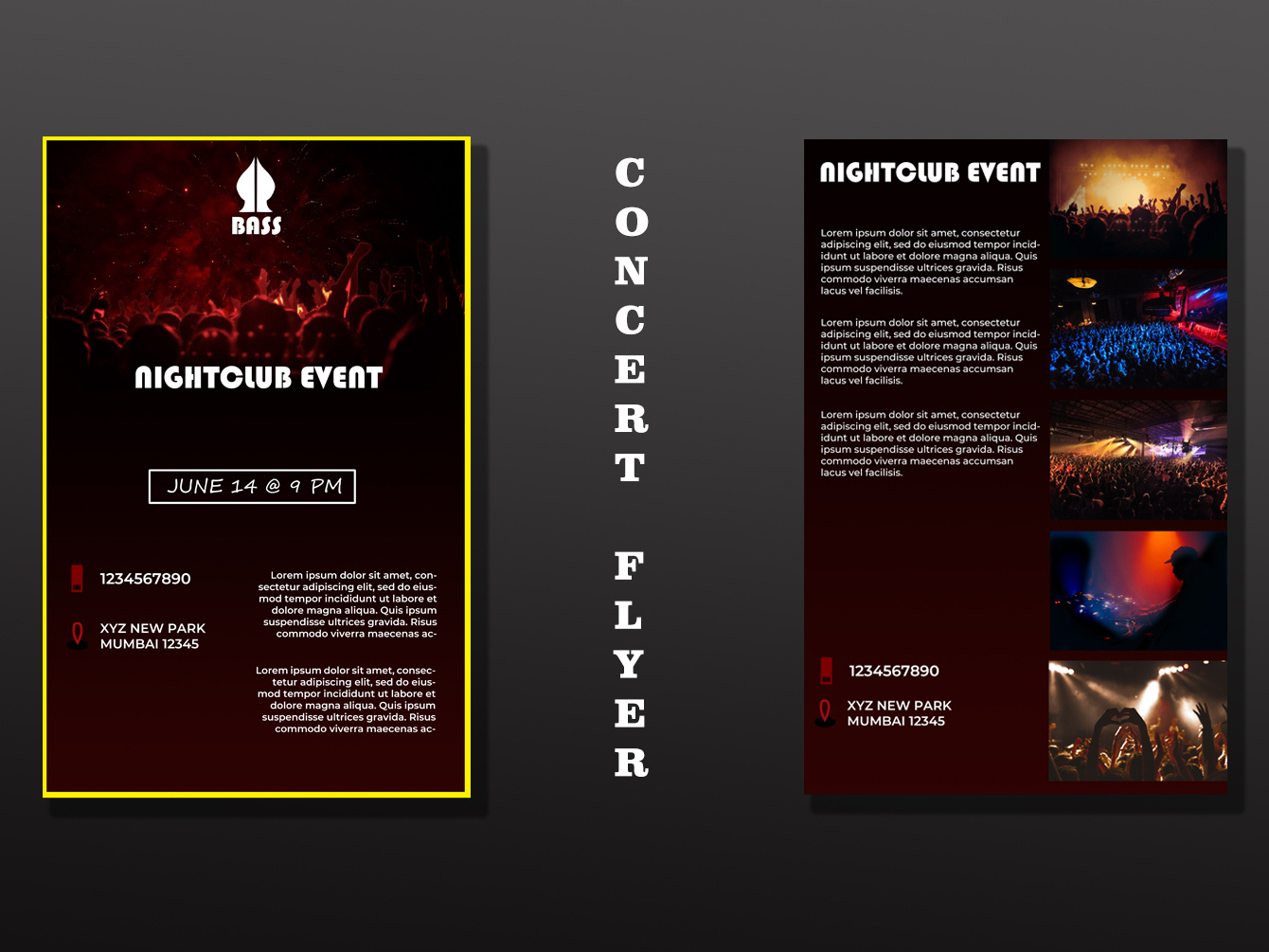 Music Concert Flyer by sushil jadhao on Dribbble