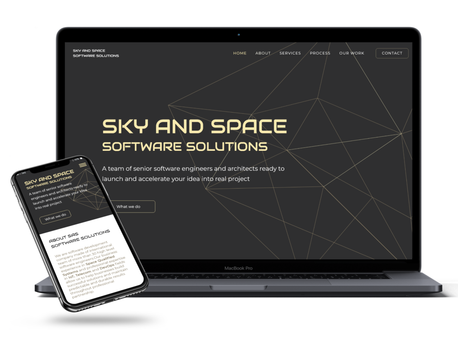 sas website creation by Jagoda Handzlik on Dribbble