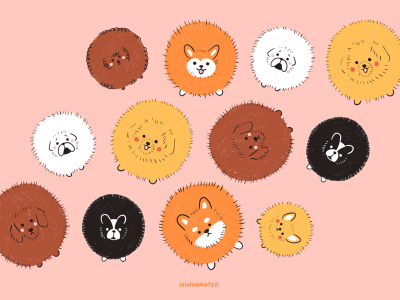 The Rolling Dogs by Niniwanted | Jenny Lelong on Dribbble