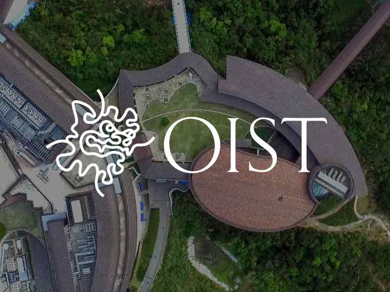 OIST PhD Pamphlets by Bento Graphics Inc. on Dribbble