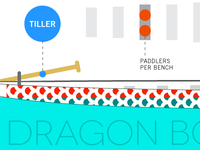 Dragon boat basics by LGuerra on Dribbble