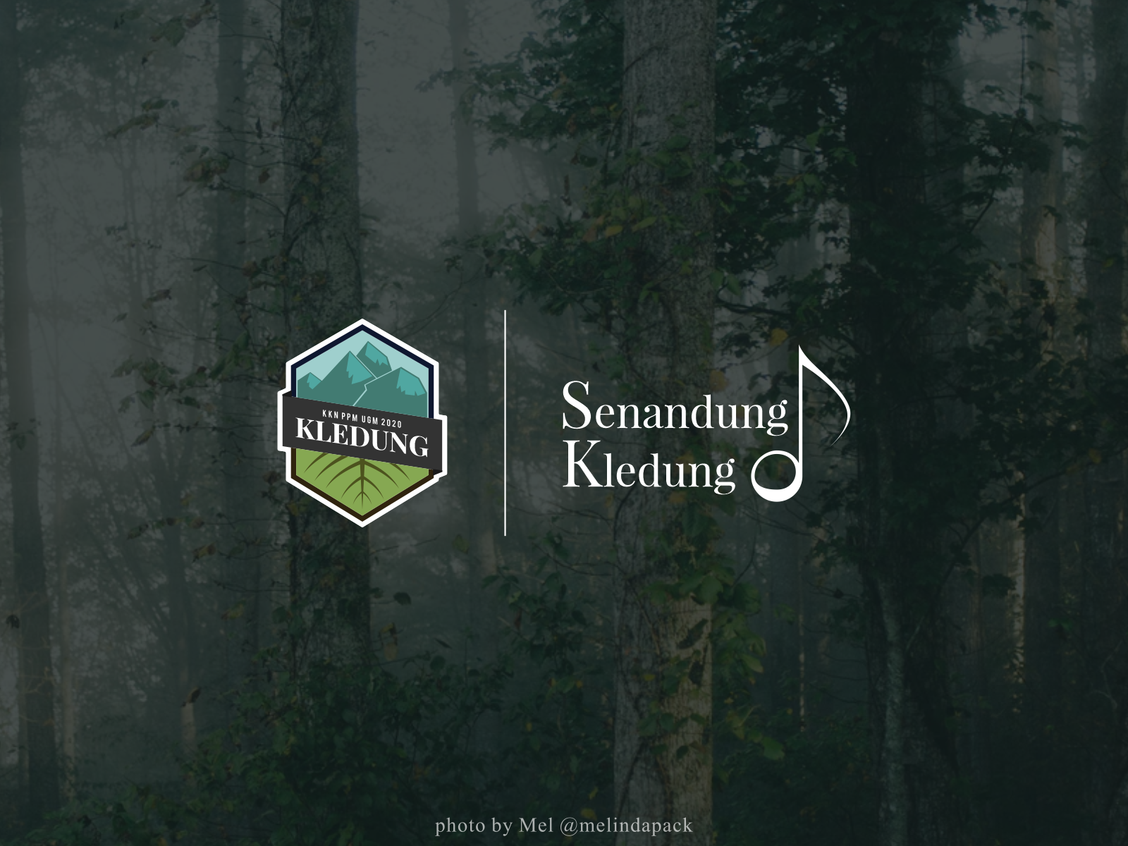 Mountain and Leaf Emblem Styled Logo - Kledung by Wina Hafidh on Dribbble