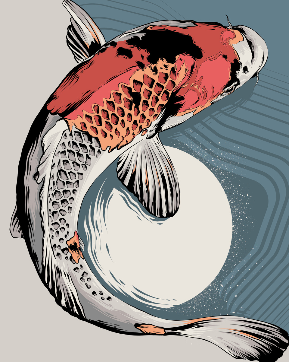 K O I by Humblee on Dribbble