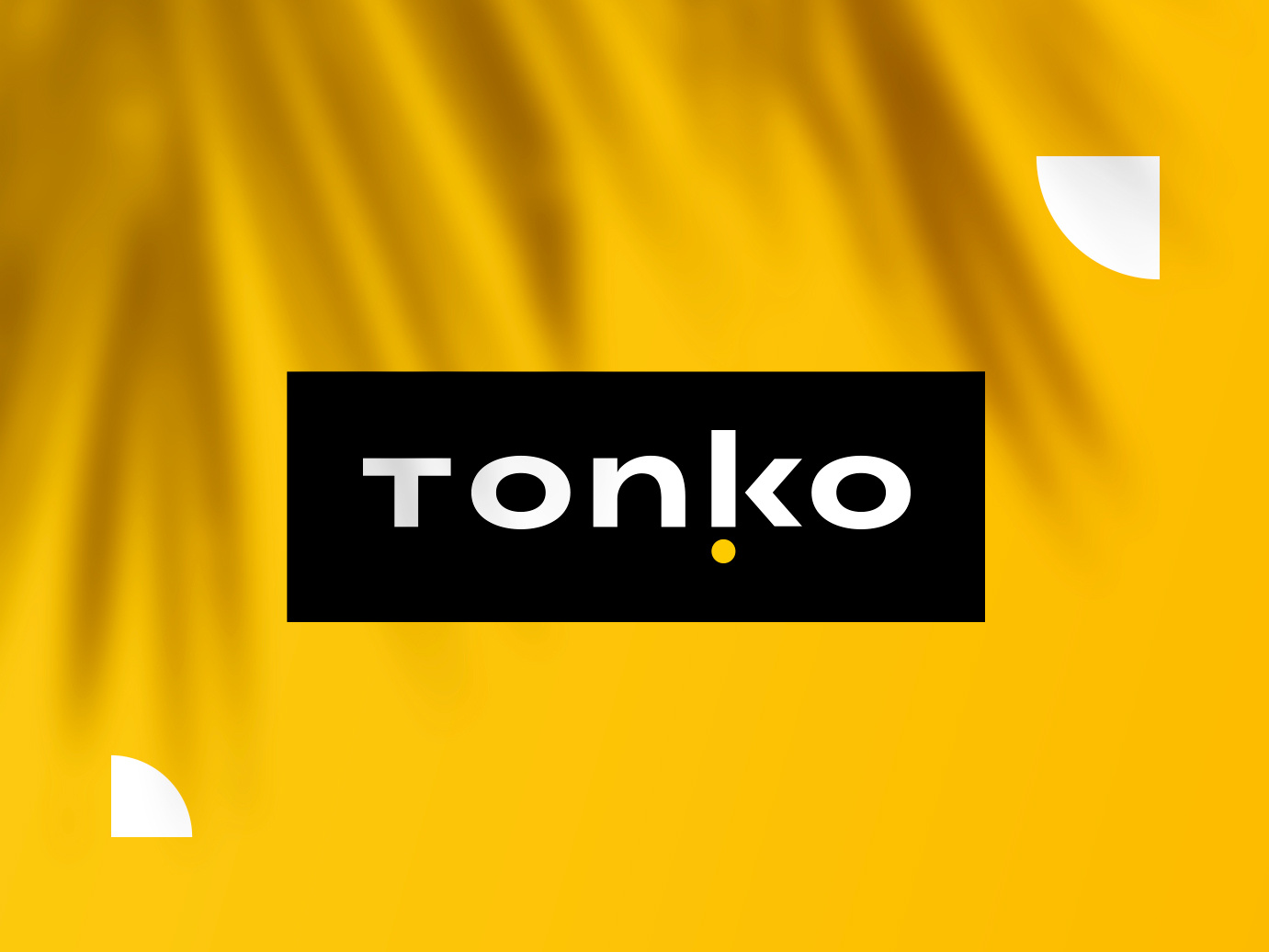 Tonko, design studio by Q-Play Production on Dribbble