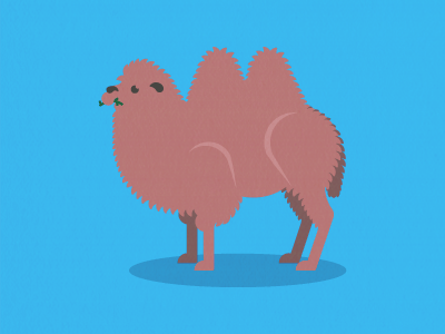 My lovely camel lumps. by Zack Vabolis on Dribbble