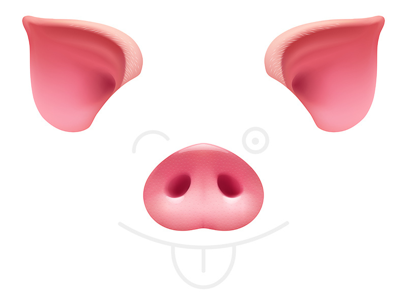 Ears And Snout By Oles Kalashnik On Dribbble