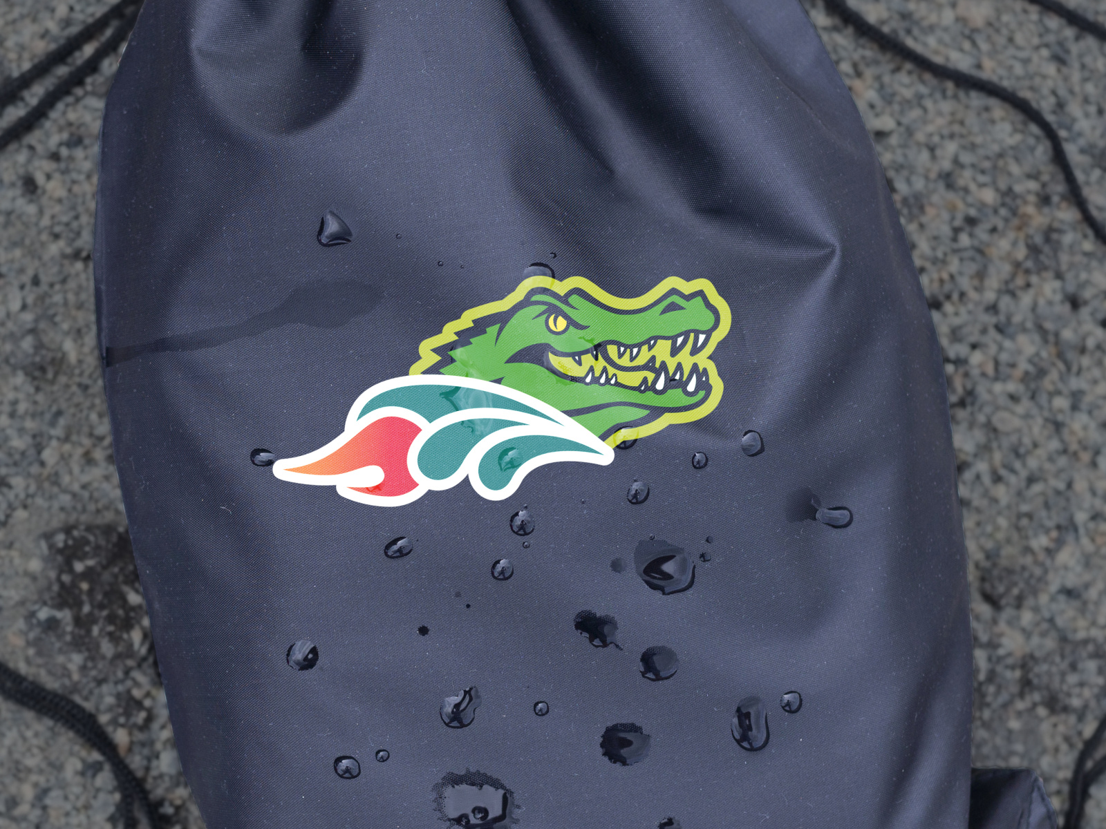 Gator Swim Team Logos