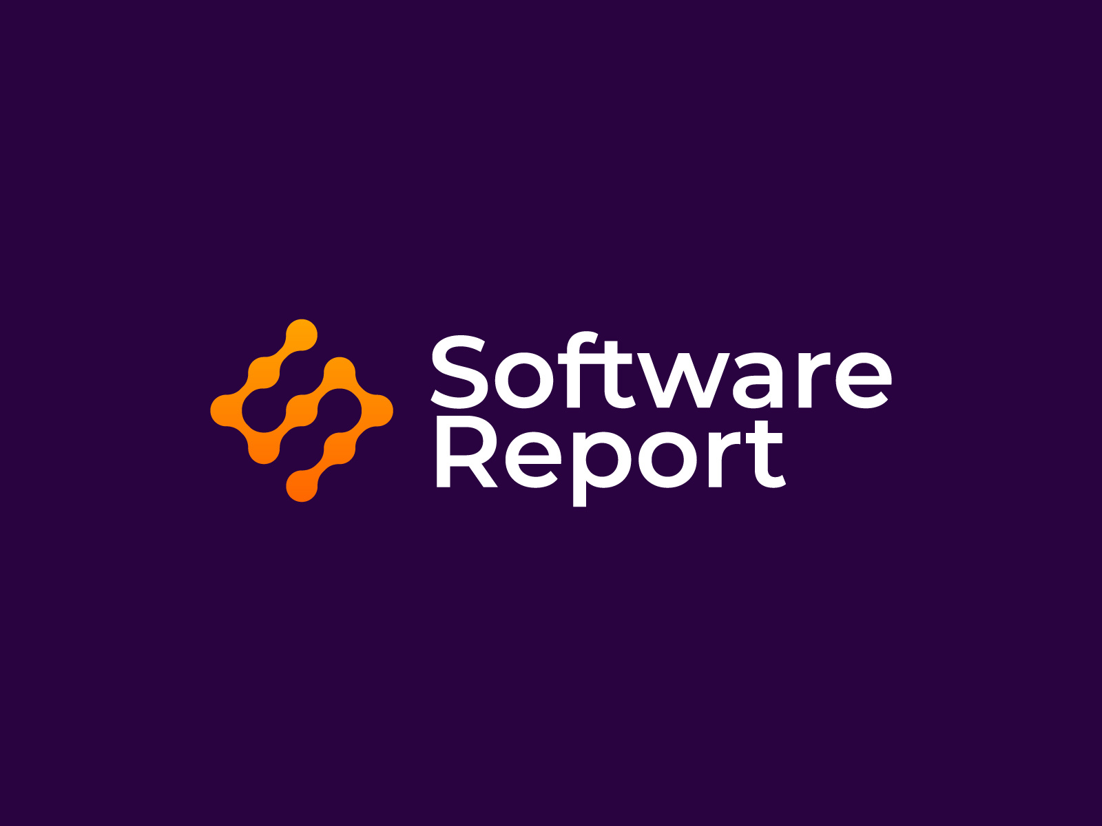 Software Report Logo Design by Elif Kameşoğlu on Dribbble