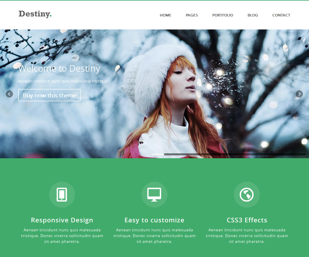 Dribbble - preview.jpg by CodeGrape
