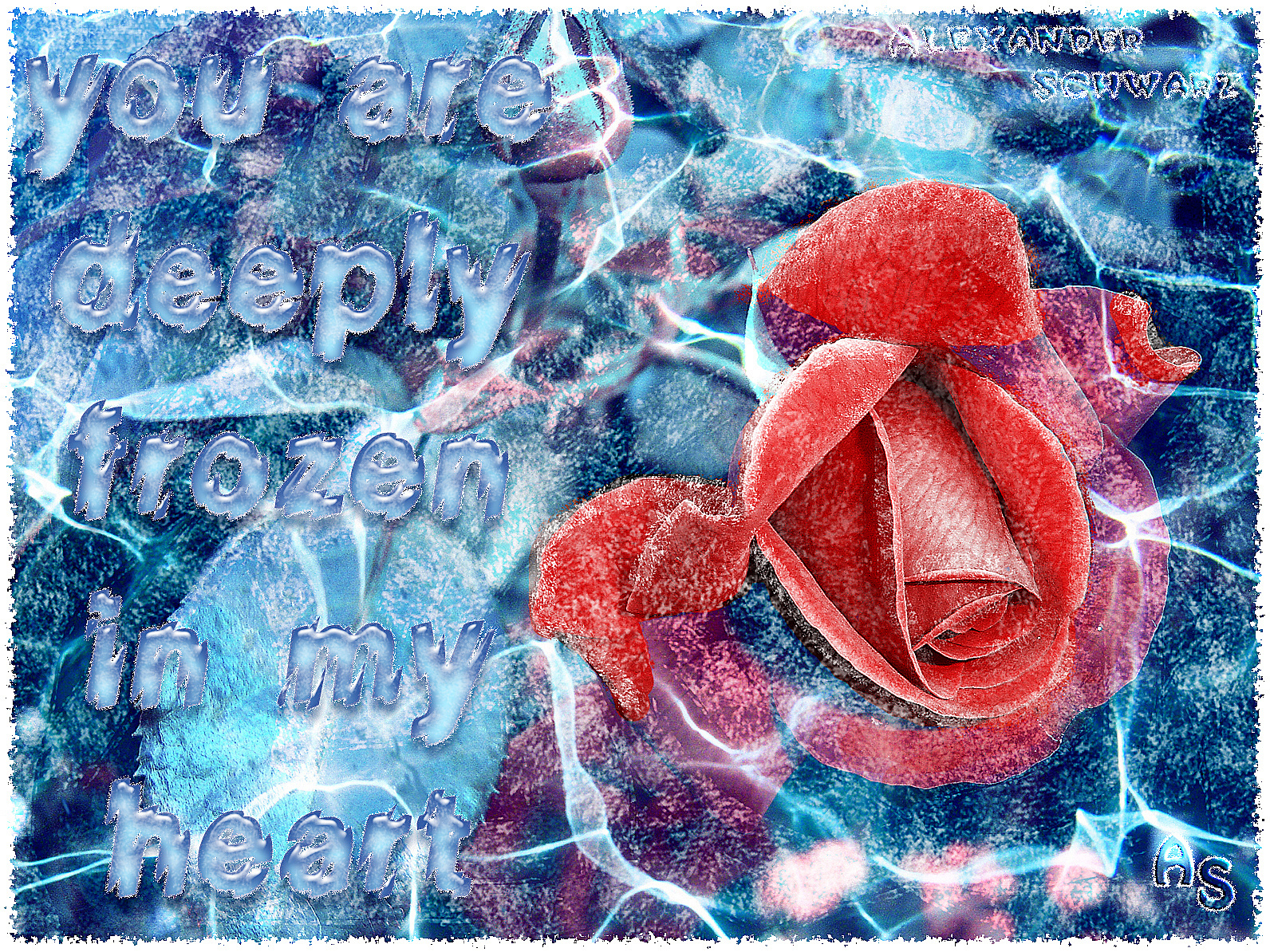 Frozen Rose by Alexander Schwarz on Dribbble
