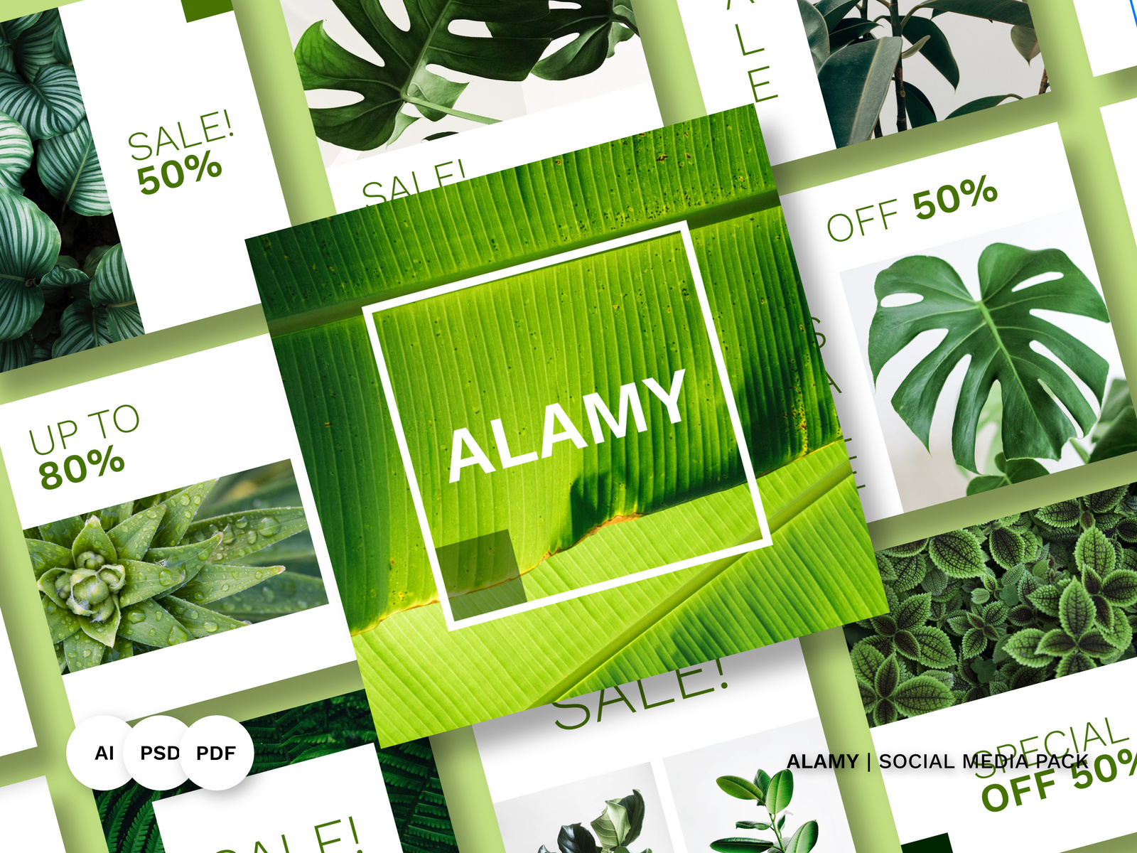 ALAMY Social Media Pack by Hai Pena on Dribbble
