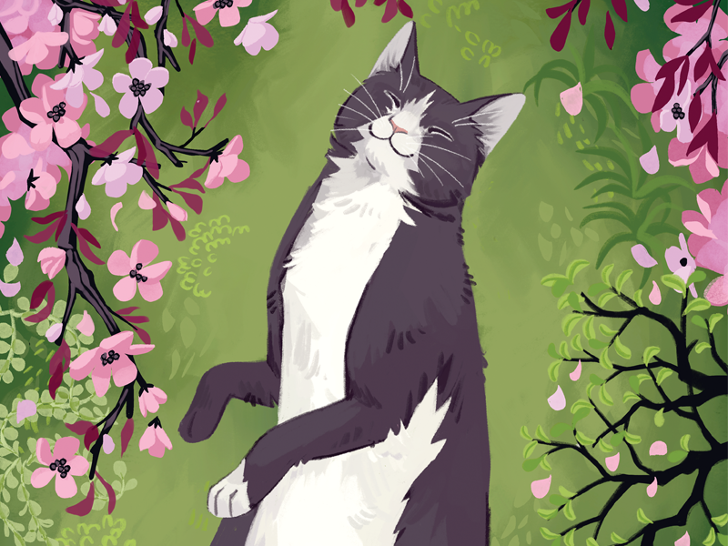 Spring Cat by Francesca Oaksford on Dribbble