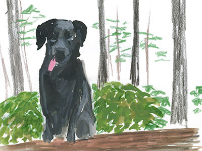 Black Lab by Alexis Louise on Dribbble