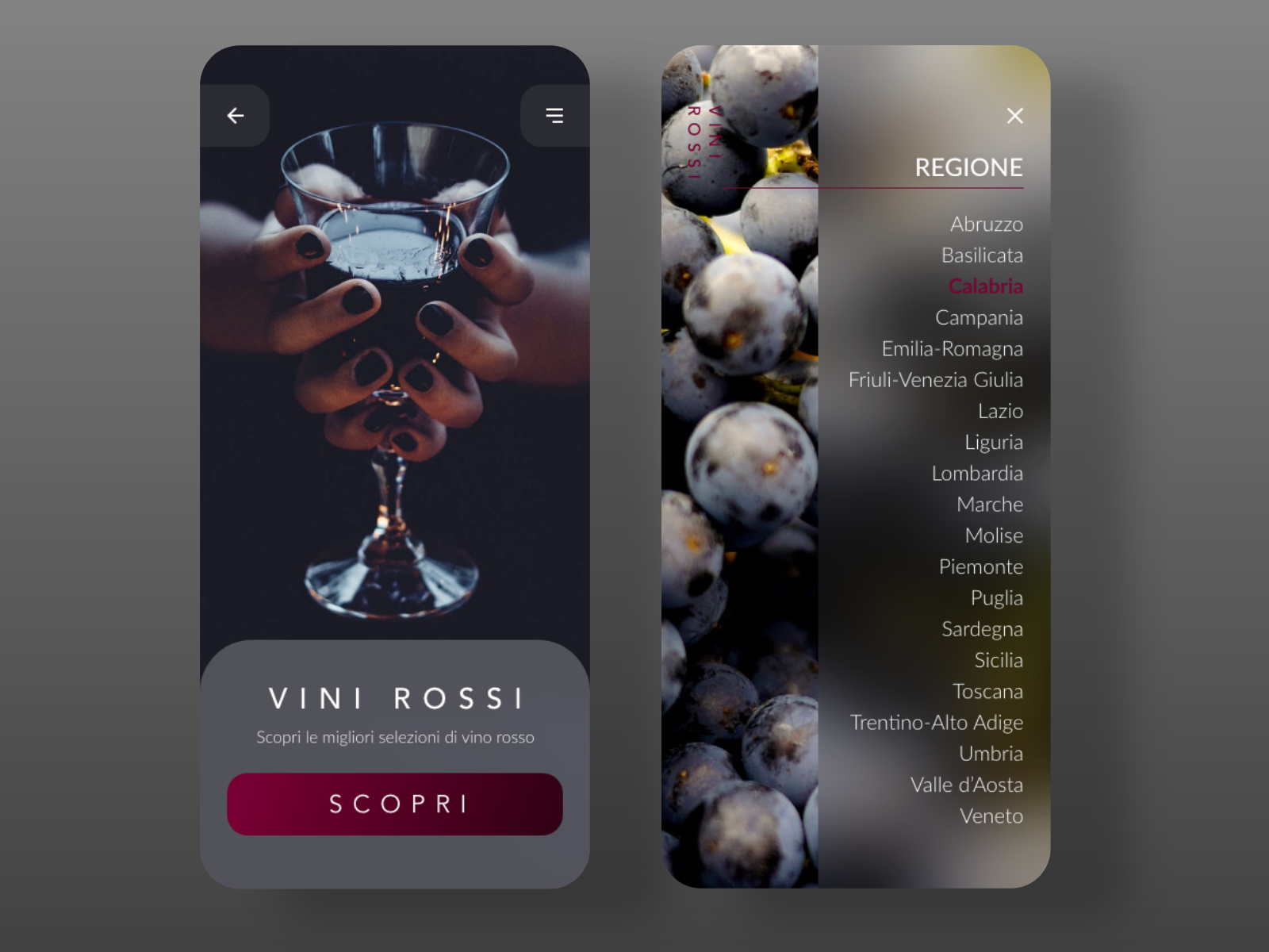 Vini d'Italia by Tina Bonis on Dribbble