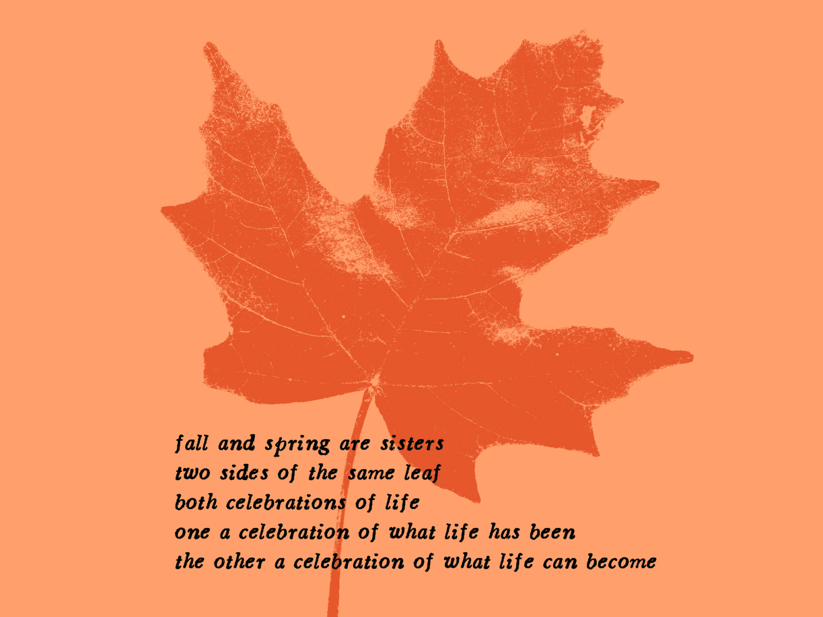 The Same Leaf By Hayden Davis On Dribbble the-same-leaf-by-hayden-davis-on-dribbble