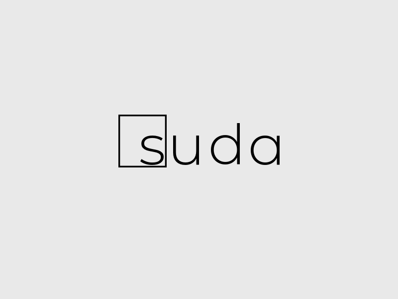 SUDA by daocatt on Dribbble
