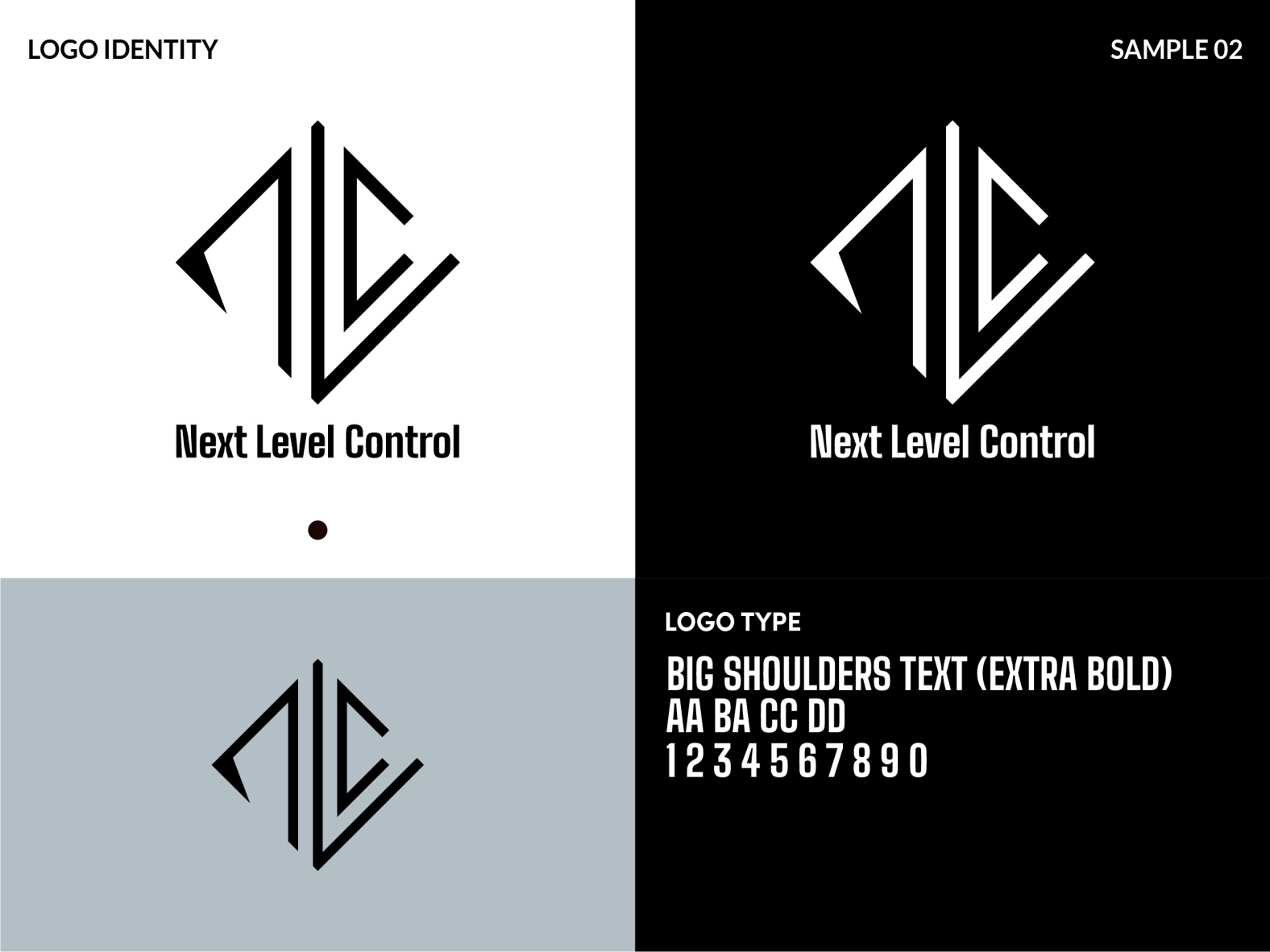 Next Level Control - Logo by Danie Design Ltd on Dribbble