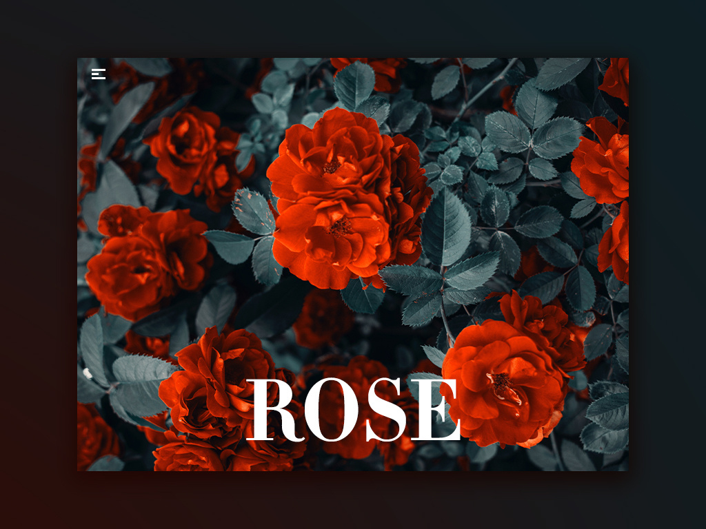 Day 72: Rose Website (late) by Ron on Dribbble