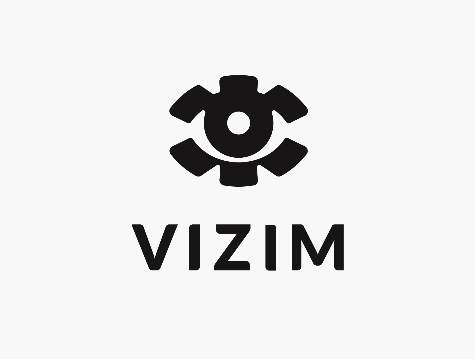 Vizim by Marius Necsanu on Dribbble