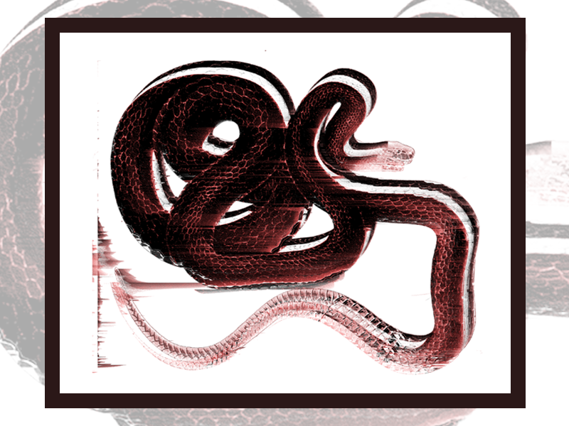 Snake Glitch by Zak Ferris on Dribbble