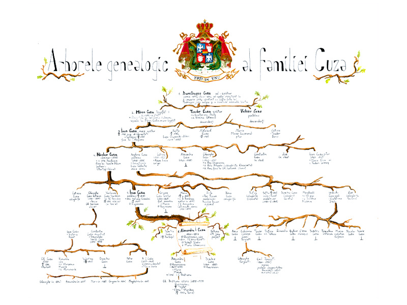 Genealogical tree Alexandru Ioan Cuza family by Radu on Dribbble
