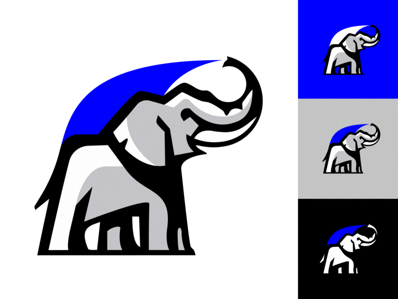 Joystream new branding by Mariano Rodríguez for JSGenesis on Dribbble