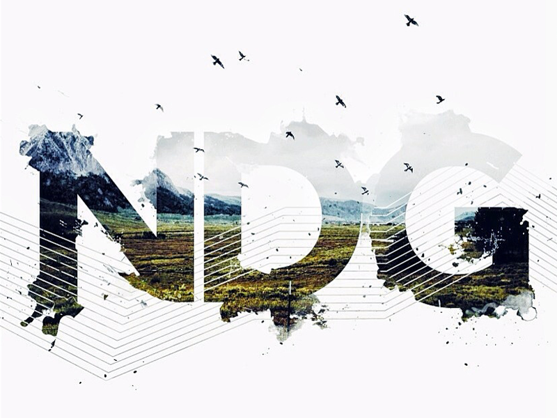 NDG by Novus Design on Dribbble